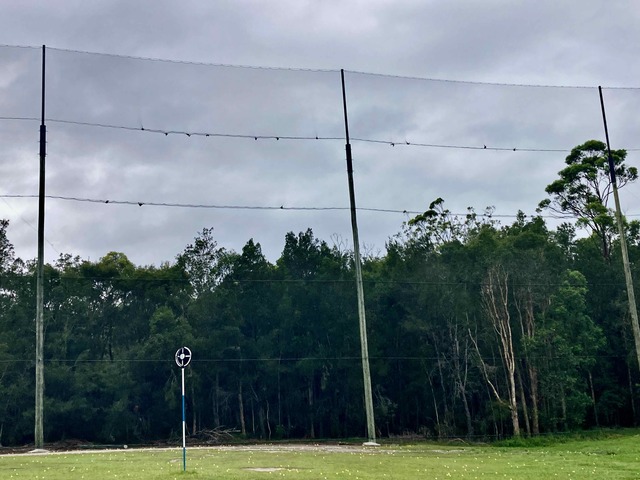 Bats trapped | Noosa Today